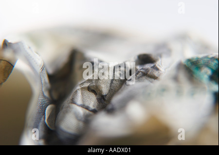 Crumpled Twenty Dollar Bill Stock Photo - Alamy