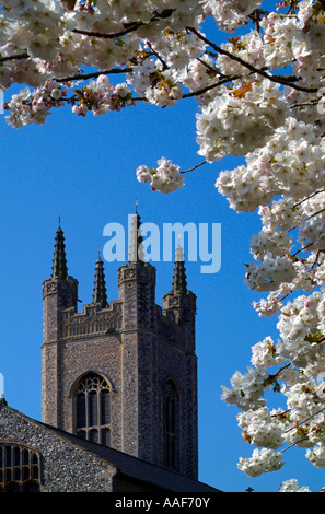Saint Mary's church, Bungay Stock Photo - Alamy