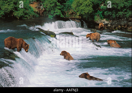 Katmai National Park in Alaska Stock Photo - Alamy