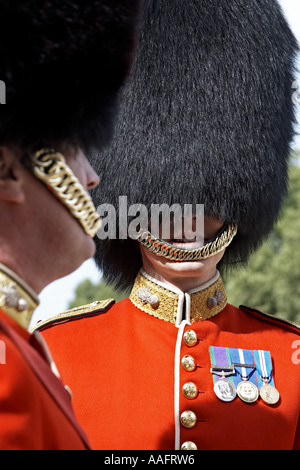 Grenadier Guards Officer with bearskin at Her Majesty The Queen s Stock ...