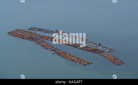 Log sorting yard and Squamish town Squamish River Estuary BC Canada ...