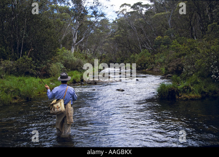 Fly fishing, Cobungra River, , NE Victoria, Australia Stock Photo - Alamy