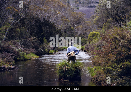 Fly fishing, Cobungra River, , NE Victoria, Australia Stock Photo - Alamy