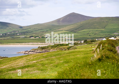 Ventry Beach, Slea Head, Dingle Bay, County Kerry, Ireland Stock Photo ...