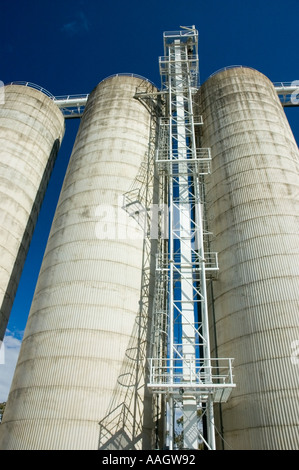 Monto central Queensland Australia silos 3454 Stock Photo - Alamy