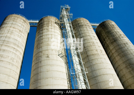 Monto central Queensland Australia silos 3448 Stock Photo - Alamy