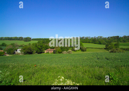 Tappington Hall Farm Denton Kent Stock Photo - Alamy
