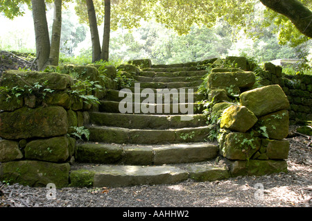 Mossy stone steps in the woods Stock Photo - Alamy