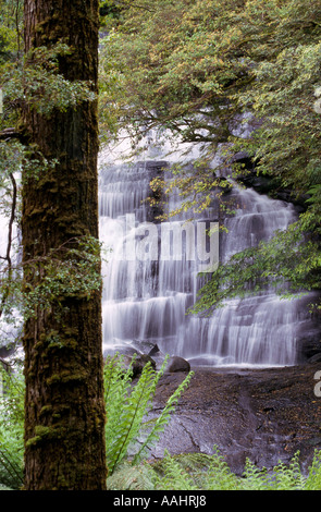 Natural stream and Australian bushland plants, trees and ancient rock ...