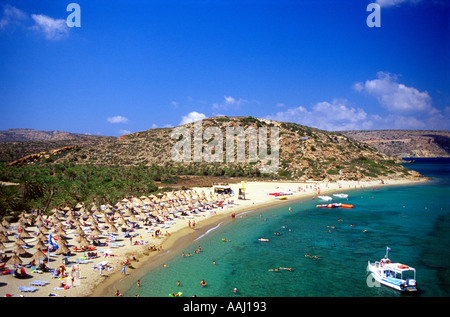 Bounty Beach Palm Trees Eastern Crete Stock Photo - Alamy