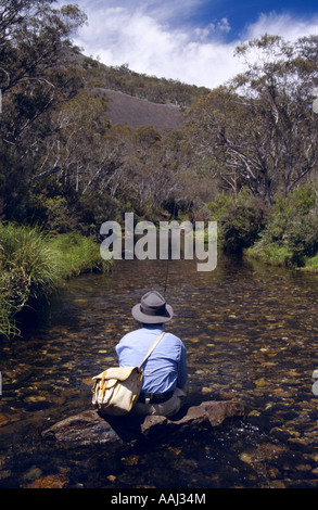 Fly fishing, Cobungra River, , NEVictoria, Australia Stock Photo - Alamy
