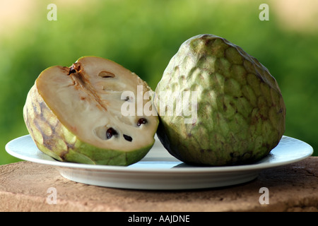 The Custard-apple (Annona reticulata), known in English as bullock's ...