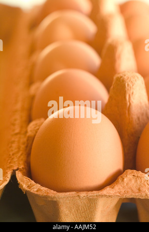 One Dozen = 12 Eggs Stock Photo - Alamy