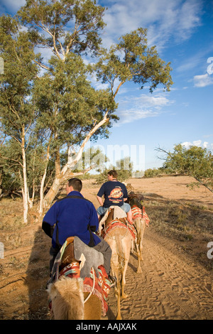 Camel riders, Alice Springs, Northern Territories, Australia Stock ...
