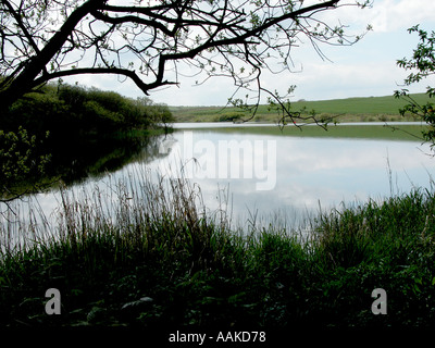 Dam at Upper Tamar Lake Reservoir, Cornwall Devon Border, England, UK ...