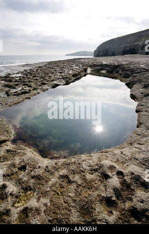 Dancing Ledge cliffs and tidal swimming pool Stock Photo - Alamy