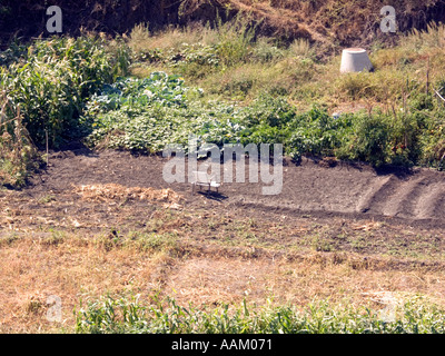 Sedella Malaga Province Axarquia Region Andalucia Spain Stock Photo - Alamy