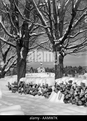 Vintage Trees covered in Snow. Vintage Retro Film Effect Stock Photo ...