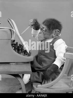 1950s CHIMPANZEE IN OVERALLS SITTING IN CHAIR AT TYPEWRITER PUTTING ...