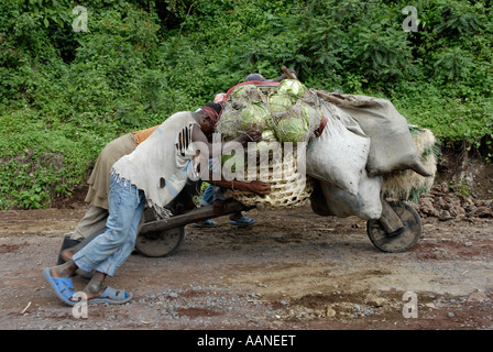 Villagers push "chukudu" two-wheeled handmade wooden vehicle loaded ...