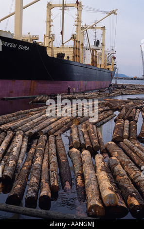 Cargo Ship Being Loaded With Timber, Kyle of Lochalsh, Scotland, UK ...