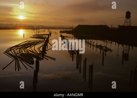 Sunrise over slough with silhouetted pilings and lumber on waterway ...