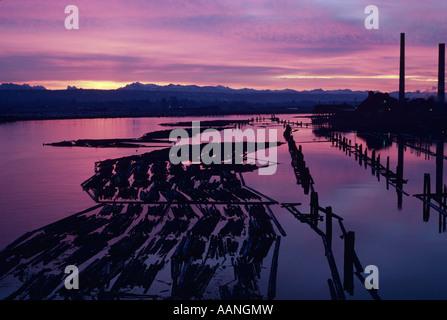 Sunrise over slough with silhouetted pilings and lumber on waterway ...