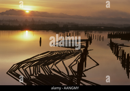 Retro image Sunrise over slough with silhouetted pilings and lumber on ...