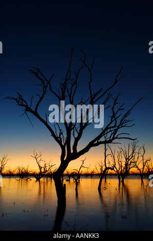 Sunset at Kinchega National Park Stock Photo - Alamy