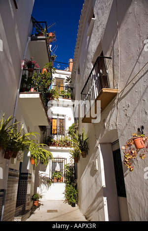 typical street in archez axarquia Malaga coast of the sun Andalusia ...