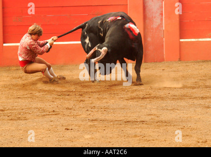 Forcados during Portuguese style bullfighting at the Campo Pequeno in ...
