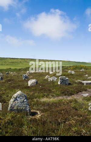 dh HILL O MANY STANES CAITHNESS SCOTLAND Stone rows on hillside ...