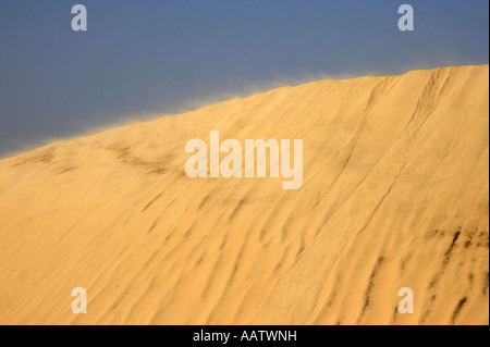 Fine sand blowing in the wind at Chendering beach in Kuala Stock Photo ...