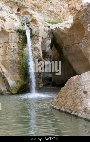 the Great Waterfall in the canyon at tamerza oasis in the mountains ...