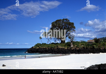 Beach Grand Comore Comores islands Indian Ocean Stock Photo - Alamy