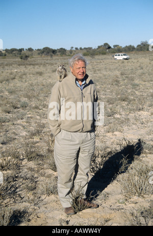 Sir David Attenborough with meerkat on shoulder for BBC series The Life ...