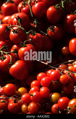 Fruit, glorious fruit Stock Photo - Alamy