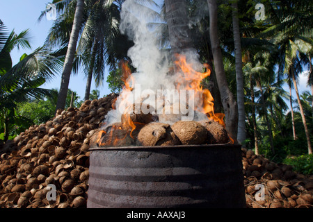 Burning coconut husks to make charcoal, Koh Samui Thailand Stock Photo ...