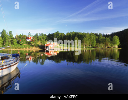 Sweden - Angermanland - Forest Stock Photo - Alamy