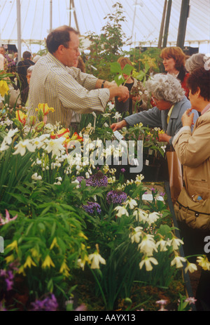 Royal Horticultural Society Spring Flower Show Bute Park Cardiff Stock ...