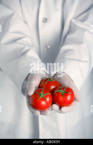 A person holds a red tomato in their hand. The garden scene shows green ...