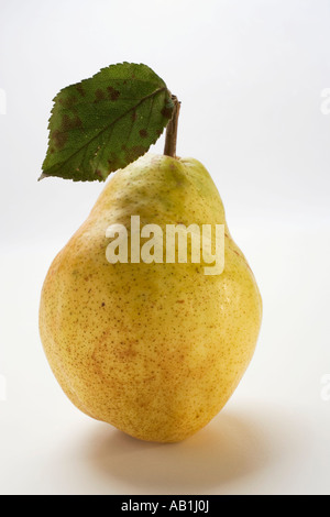 Williams pear with leaf FoodCollection Stock Photo - Alamy