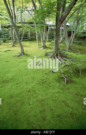 Gio ji Temple Kyoto Prefecture Japan Stock Photo - Alamy
