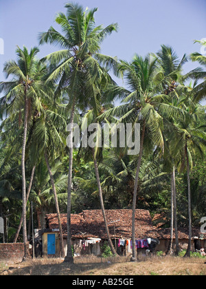 India, Goa, Old Goa. Typical country home Stock Photo - Alamy