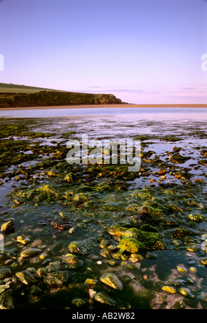 Mothecombe Beach South Devon at sunrise over Erme estuary with pink sky ...