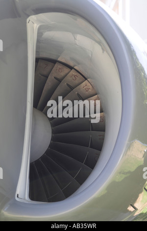 A view of the jet intake of a Carrier Air Wing 15 (CVW-15) F-14 Tomcat ...