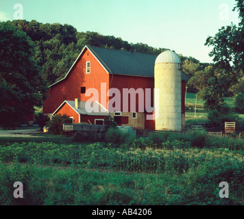 Wisconsin dairy farm showing red barn silos and outbuildings Stock ...