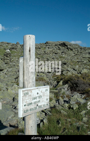 Alpine zone, Davis Path, White Mountains, New Hampshire, USA Stock ...