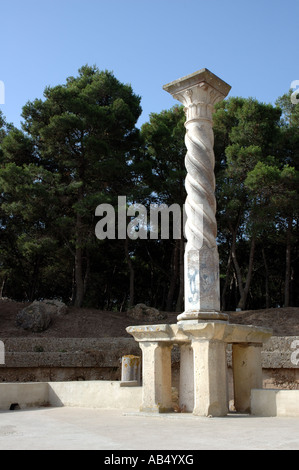 Roman amphitheatre, Carthage, Tunisia Stock Photo - Alamy
