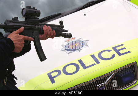 An armed response security sign on the side of a building in the Stock ...